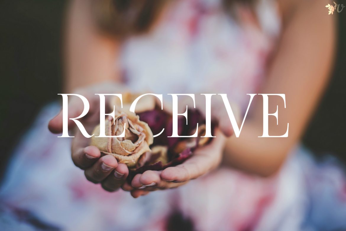 The Grove Prompt Receive Velvet Ashes The Grove Prompt Receive Velvet Ashes