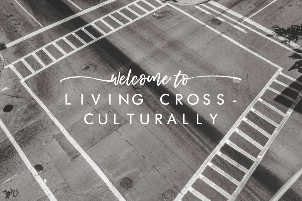 The Grove Prompt: Welcome to Living Cross-Culturally - Velvet Ashes