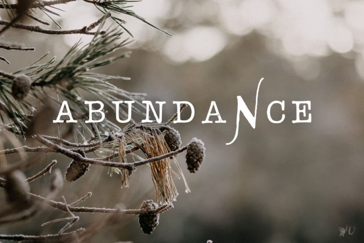 This Week's Theme: Abundance - Velvet Ashes
